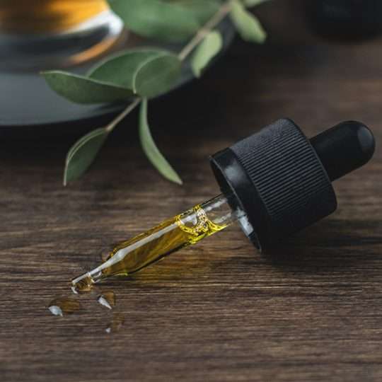 Dr. Rene Pulido, Premier Medical Marijuana Doctor in Jacksonville