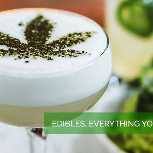 Cannabis Edibles, Everything You Need to Know