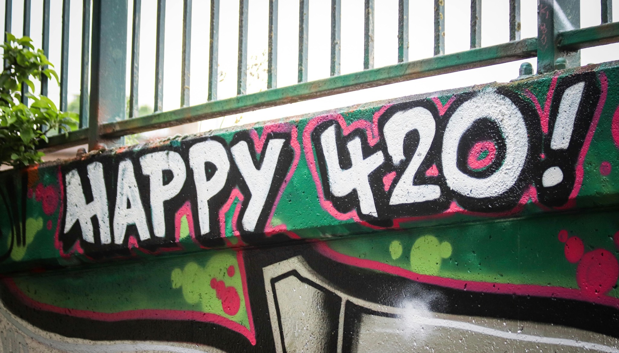 The Story of 420: How April 20 Became a Global Cannabis Holiday ...