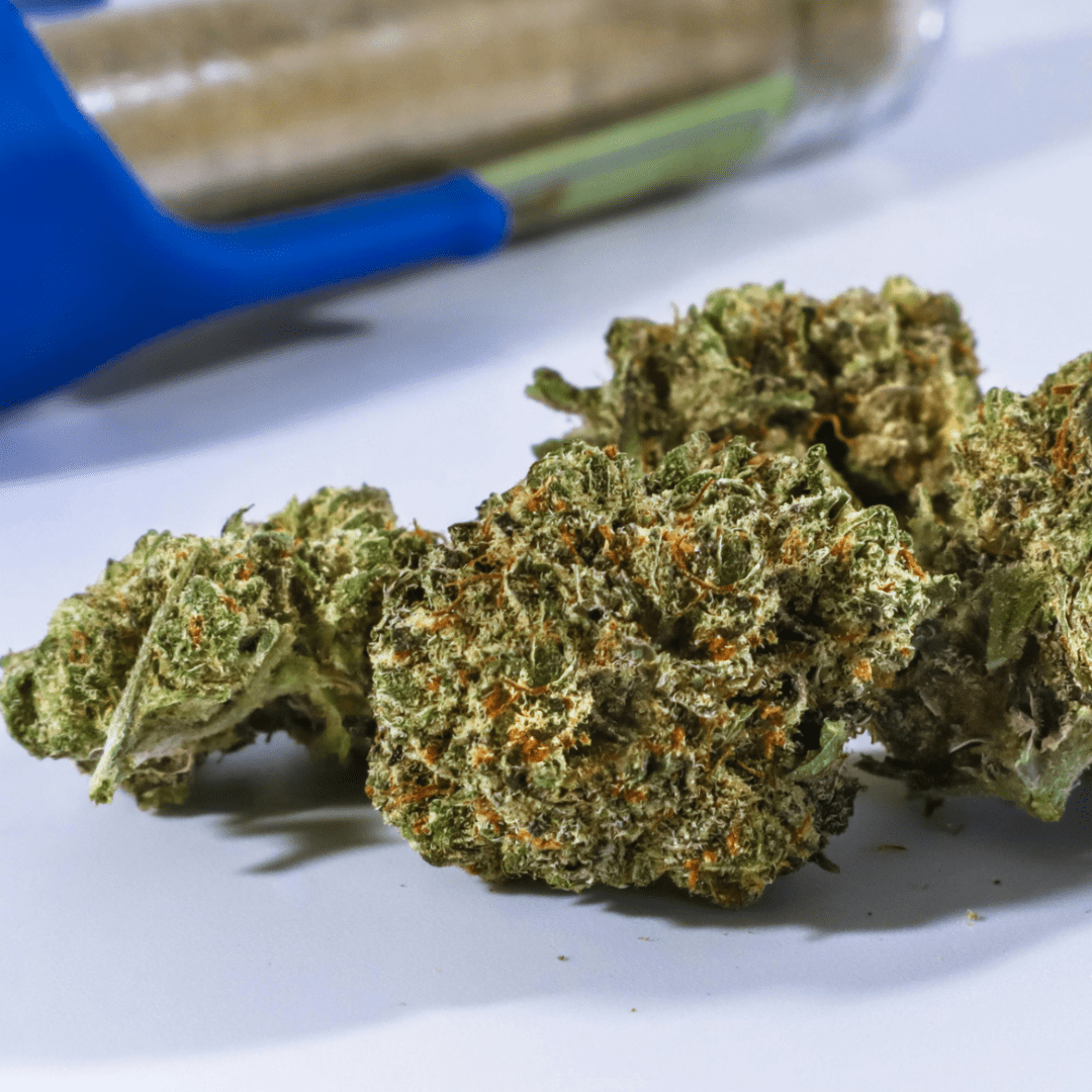 FL Cannabis Deals - Affordable Marijuana License